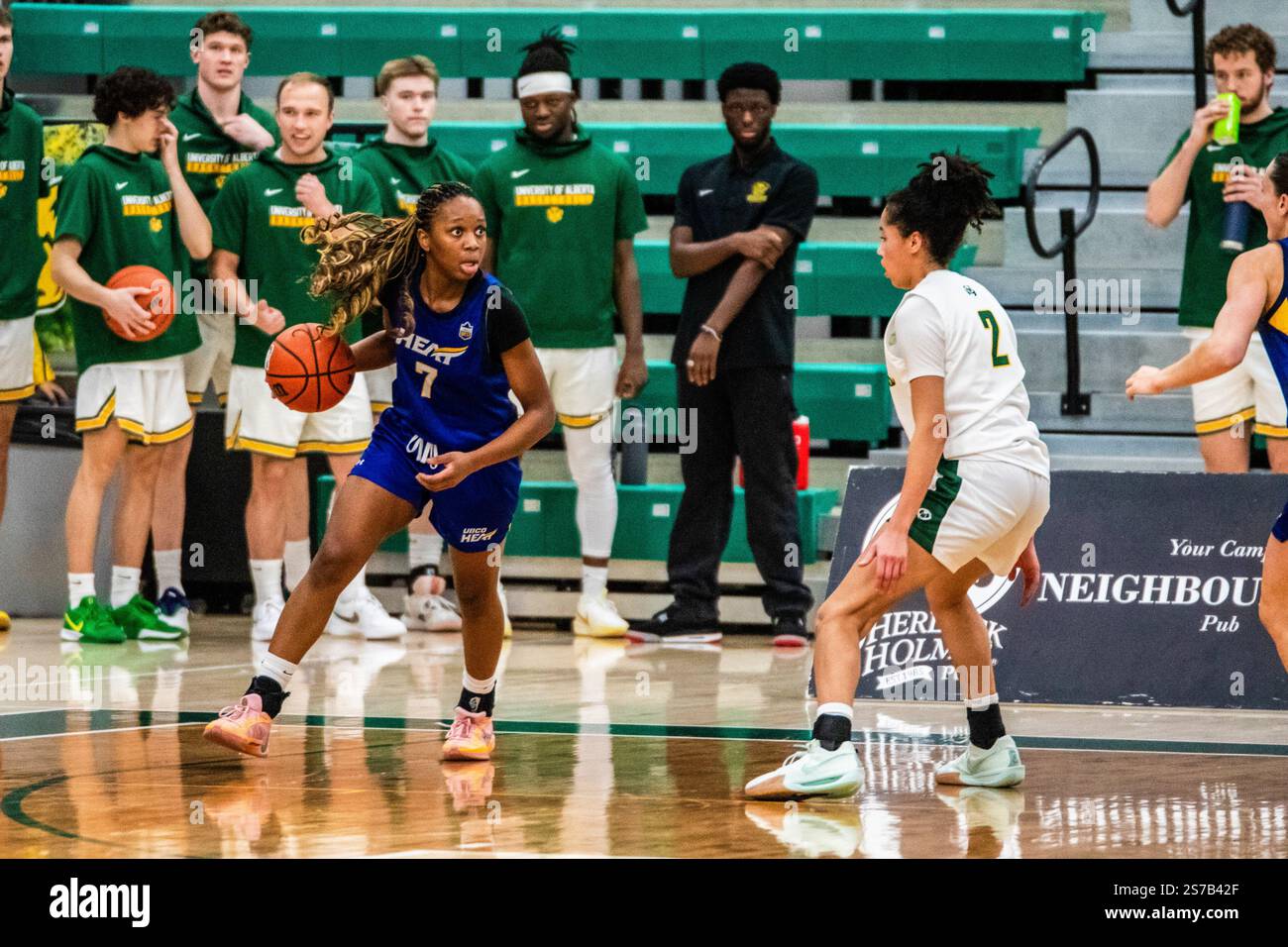Edmonton, Canada. 17th Jan, 2025. The University of Alberta Pandas (2 ...