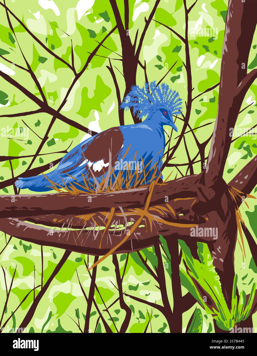 Wildlife of victoria Stock Vector Images - Alamy