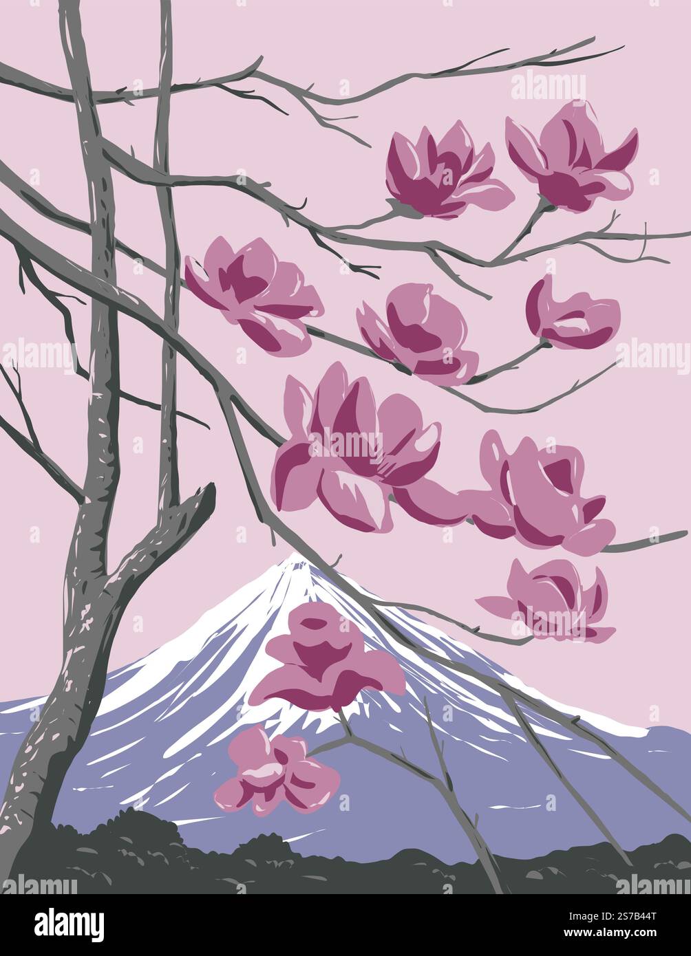 WPA poster art of magnolia soulangeana or saucer magnolia blossoms with ...