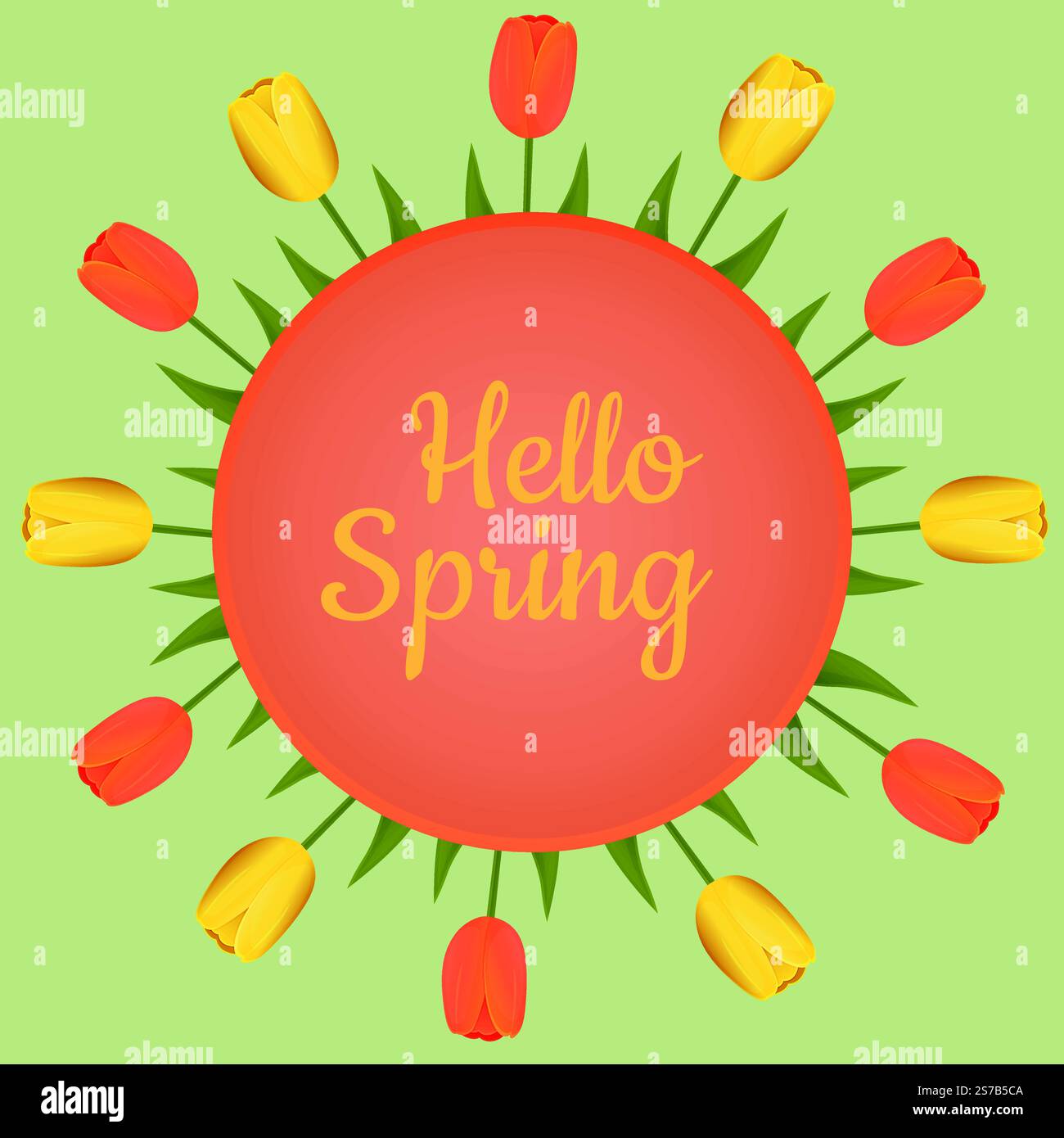 Fresh yellow tulip on Stock Vector Images - Alamy