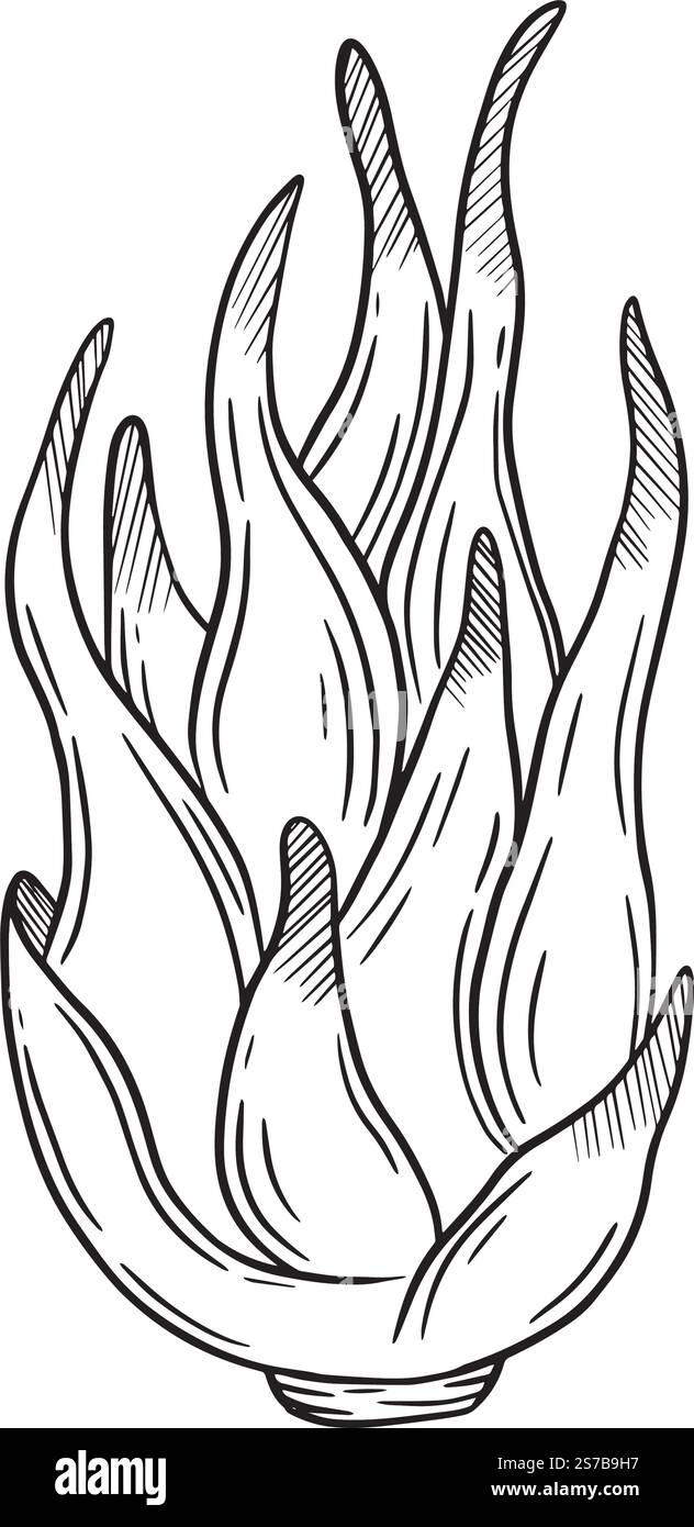 Vector design booklet decor Black and White Stock Photos & Images - Alamy