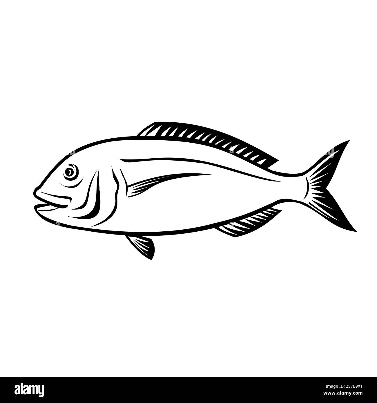 Akashi hyogo prefecture, japan Stock Vector Images - Alamy