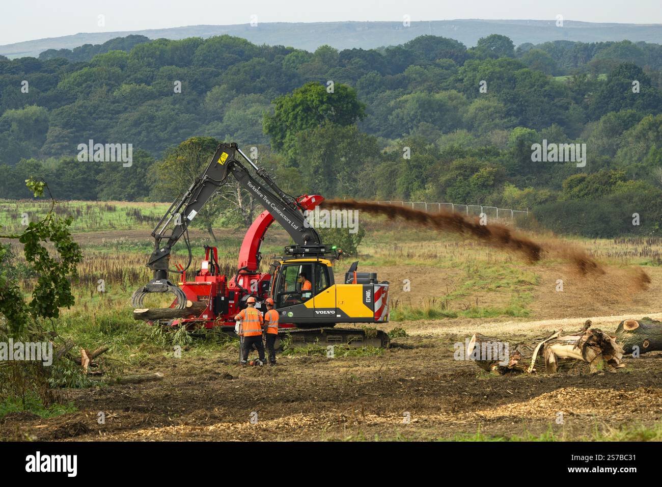 Men working to remove trees (construction site, green field land loss ...
