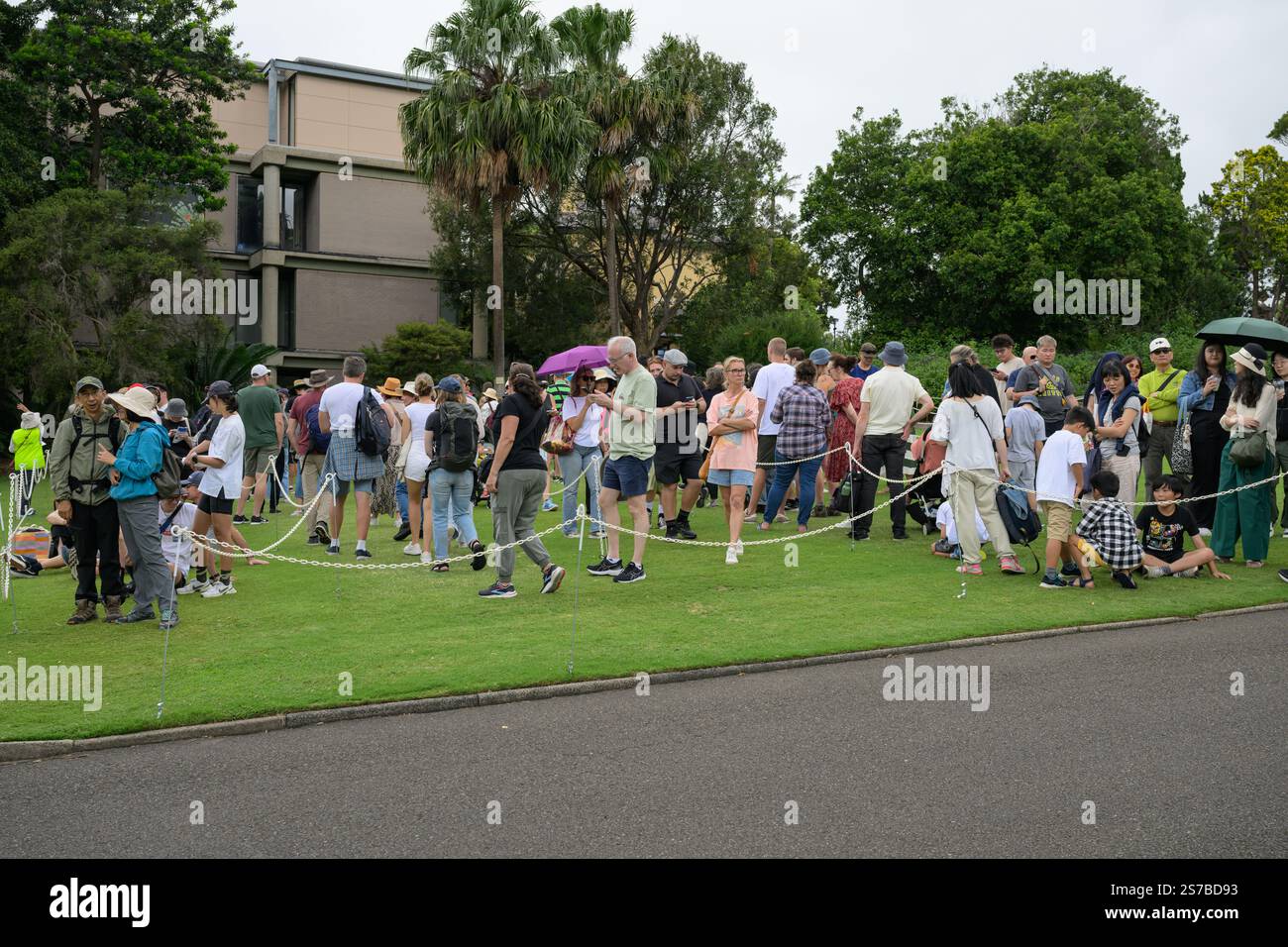 Sydnet, Australia. 19th Jan 2025. Hundreds of visitors seen queuing up ...