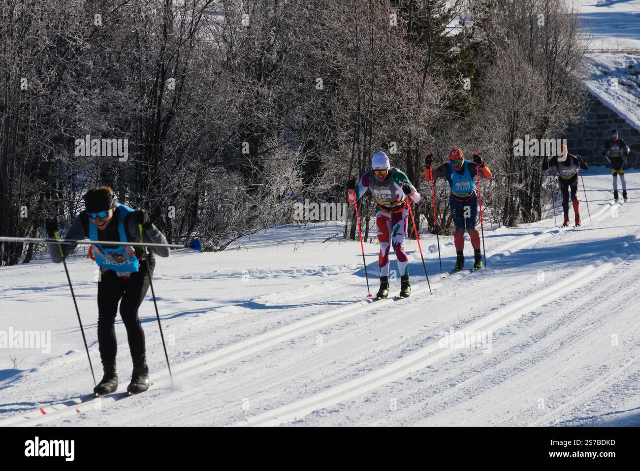 Pontresina, Switzerland - January 18, 2025: skiers during the nordic ...