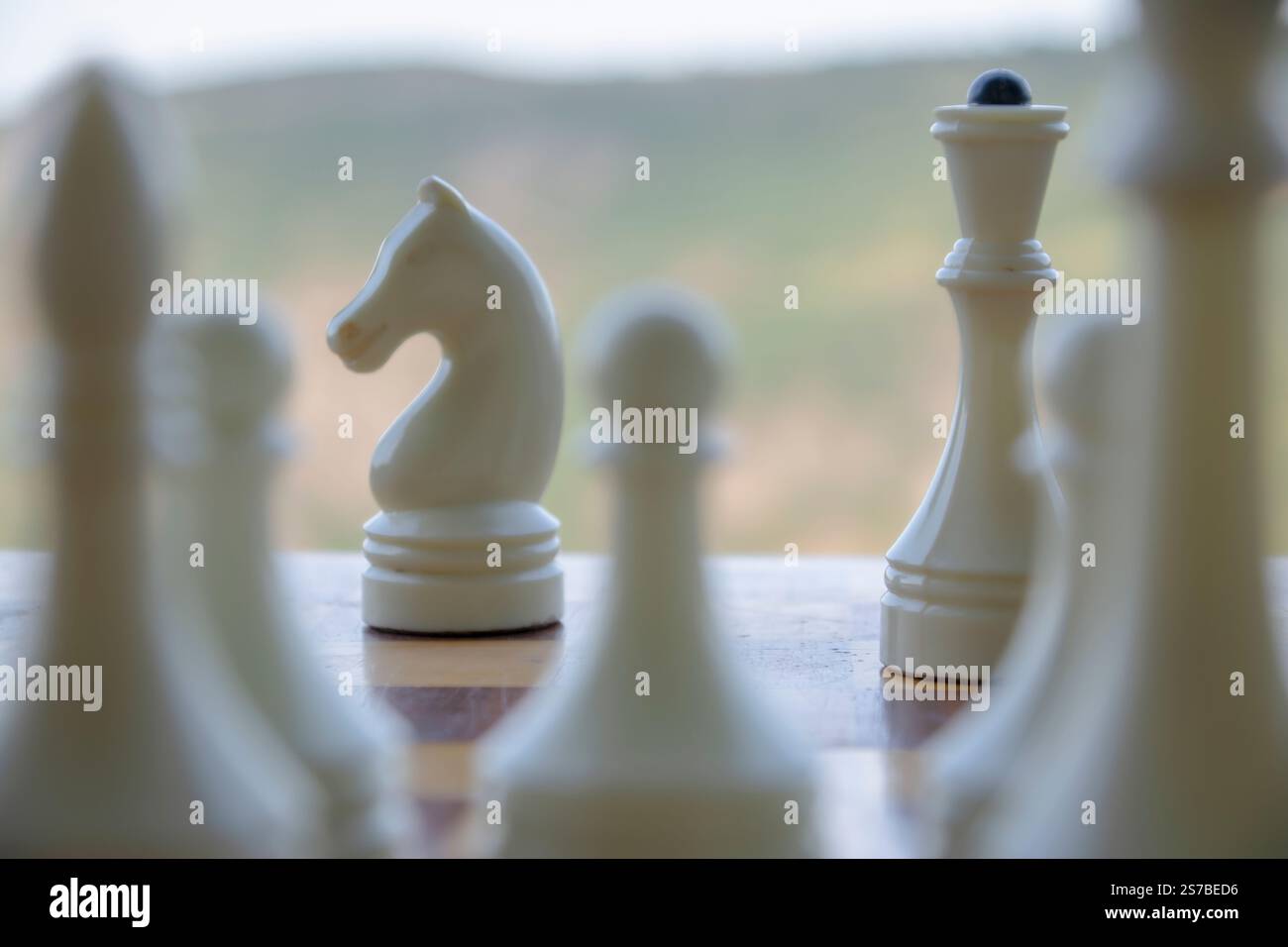 Chessboard. Chess game. Chess pieces - King, Queen, Queen, Rook, Bishop ...