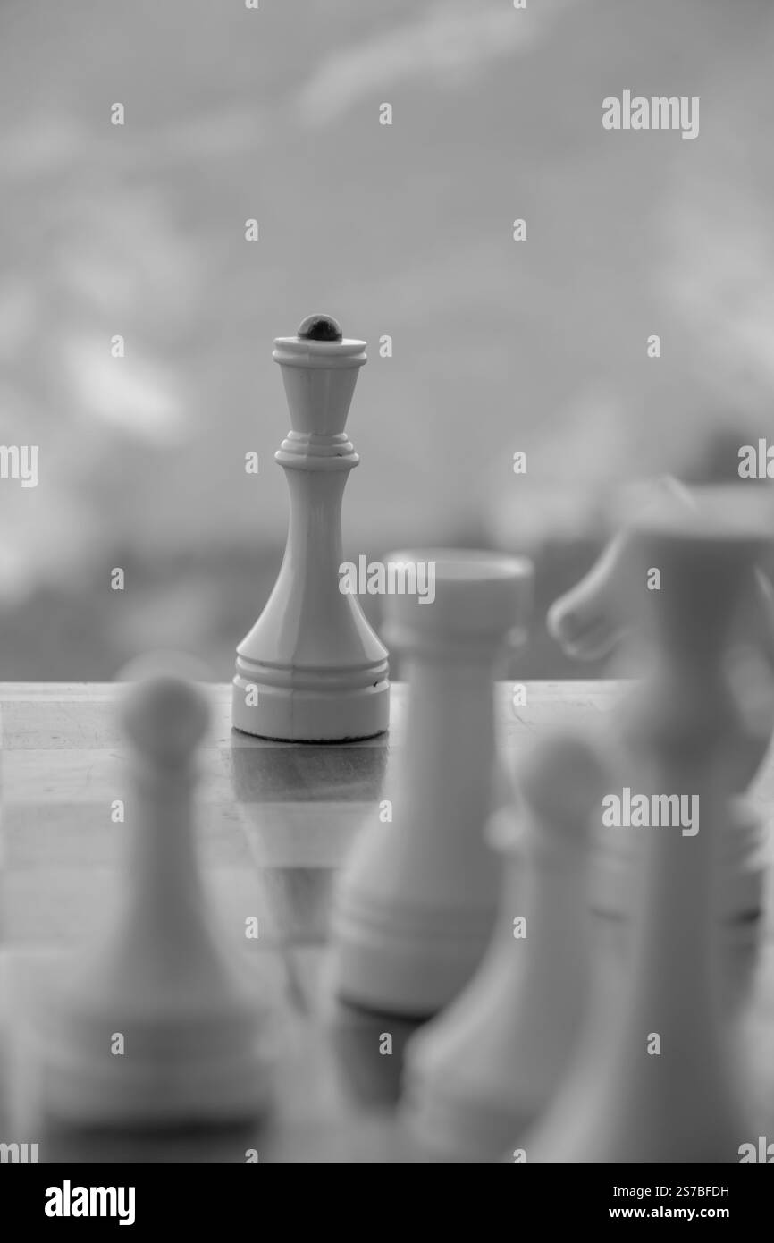 Chessboard. Chess game. Chess pieces - King, Queen, Queen, Rook, Bishop ...