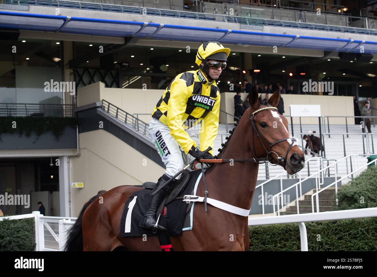 Ascot, Berkshire, UK. 18th January, 2025. LULAMBA ridden by jockey Nico ...
