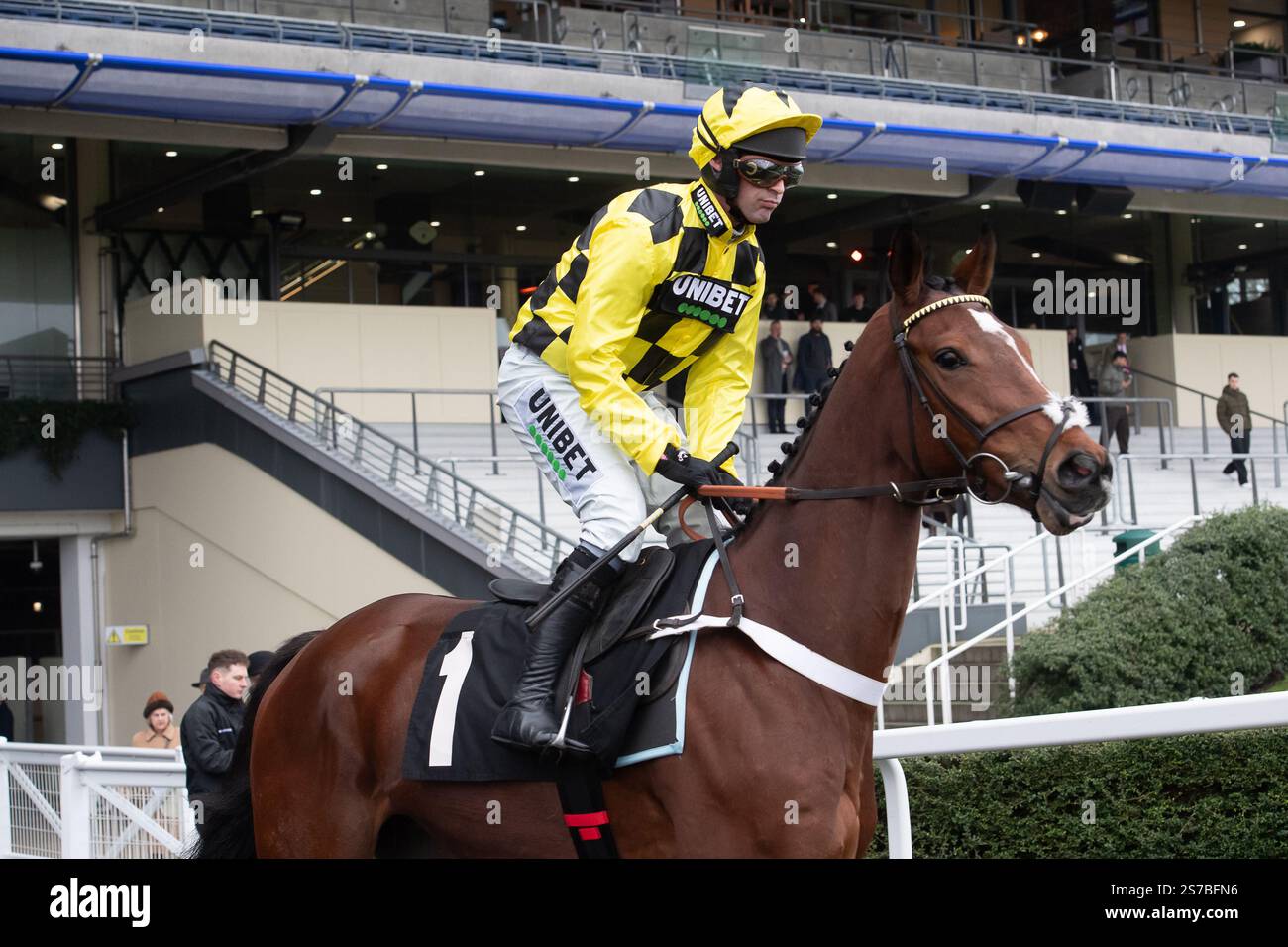 Ascot, Berkshire, UK. 18th January, 2025. LULAMBA ridden by jockey Nico ...