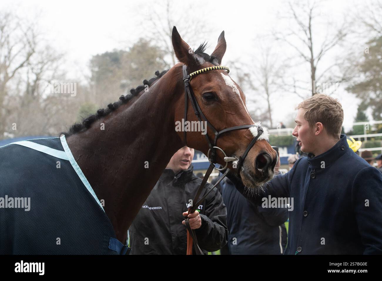 Ascot, Berkshire, UK. 18th January, 2025. LULAMBA ridden by jockey Nico ...