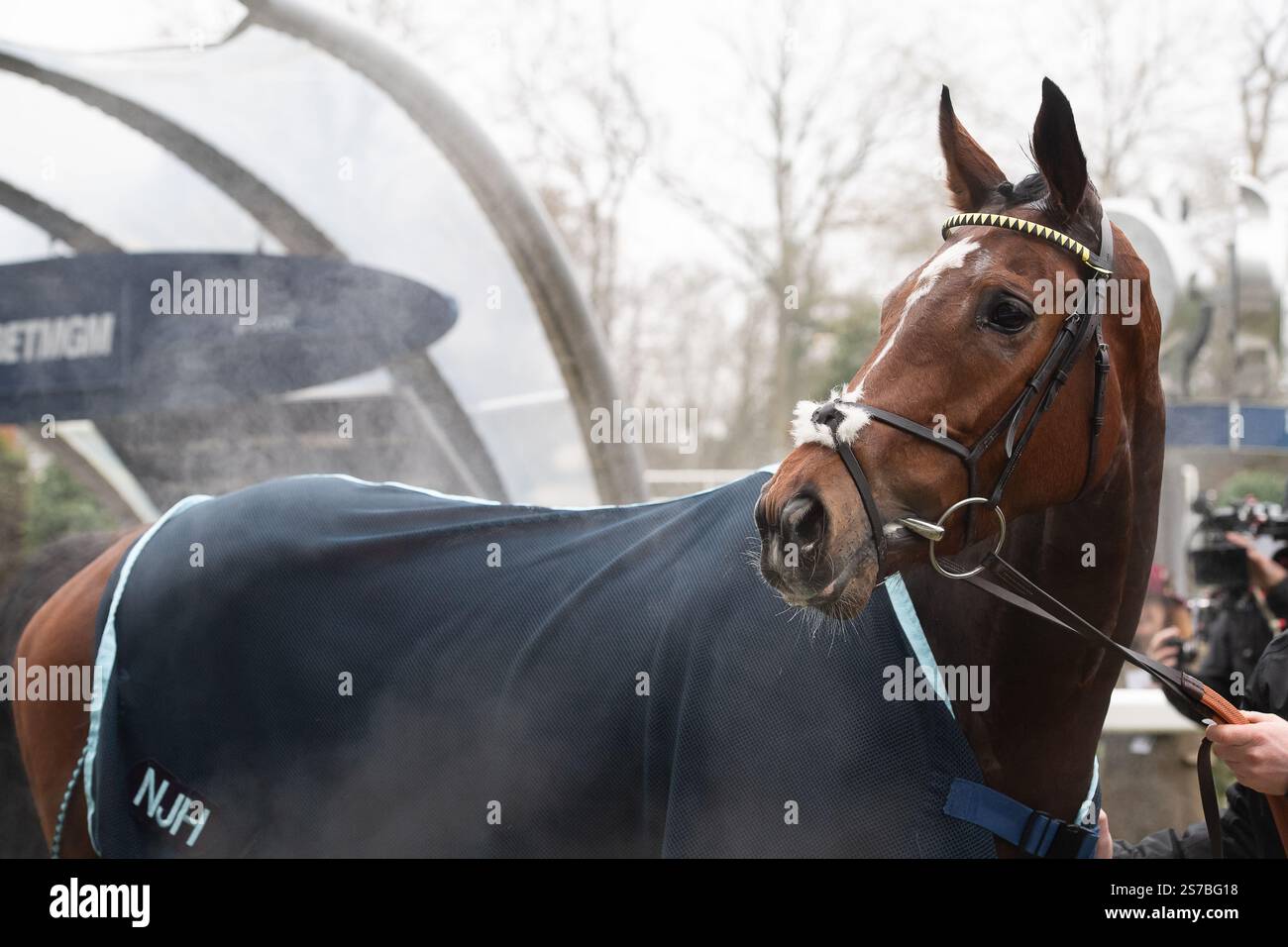 Ascot, Berkshire, UK. 18th January, 2025. LULAMBA ridden by jockey Nico ...