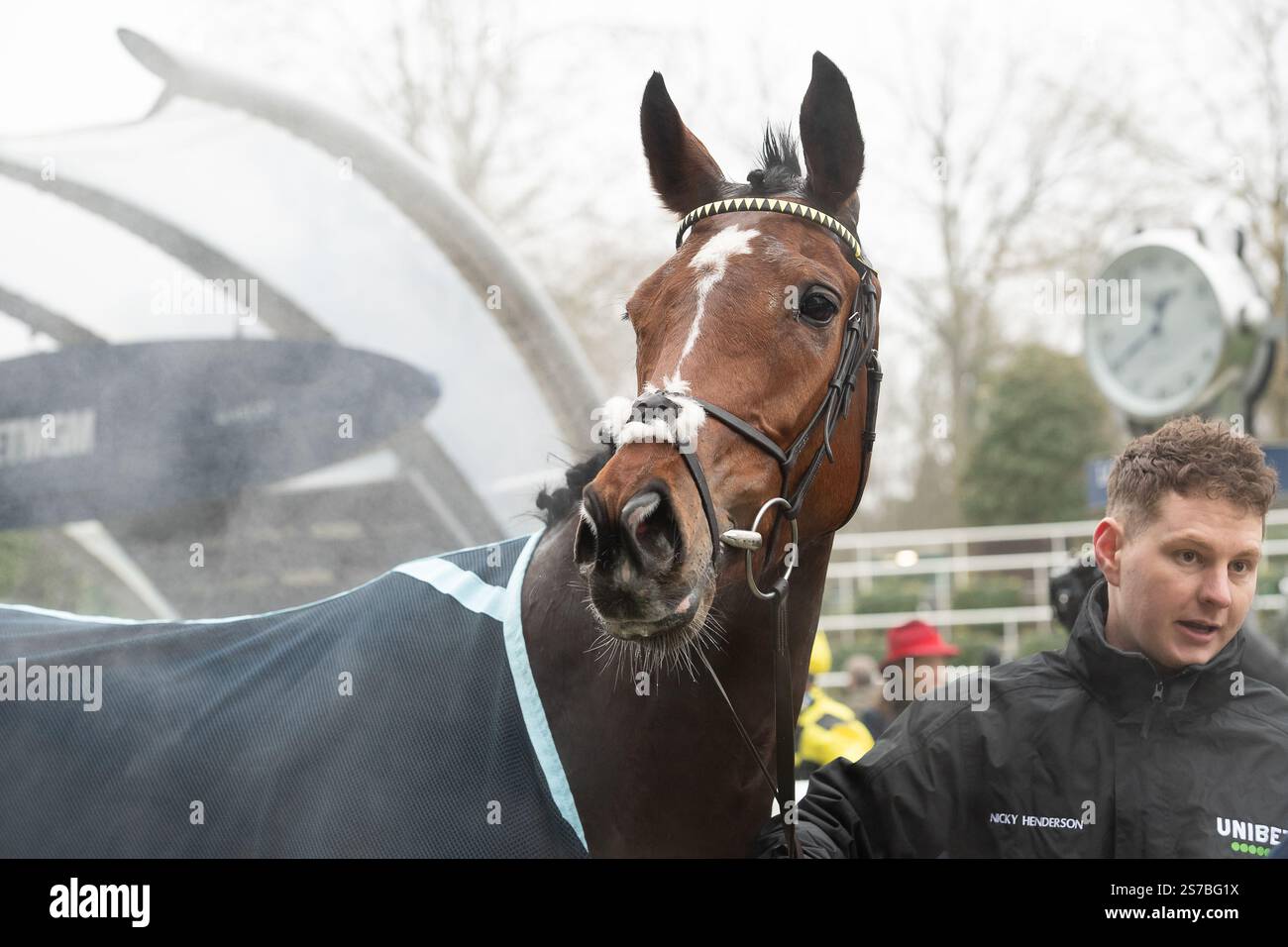 Lulamba horse hi-res stock photography and images - Alamy