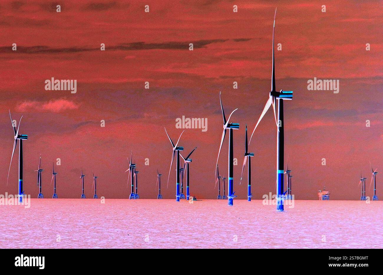 Faehre zwischen Bornholm und Neu-Mukran kommt am Windkraftpark vor ...
