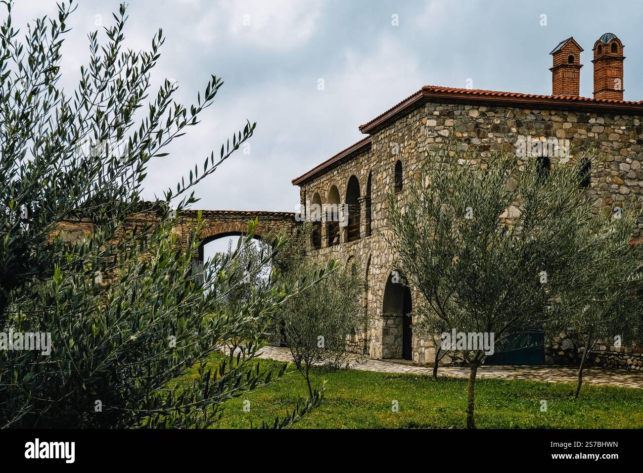 Ancient olive tree and medieval stone walls of Alaverdi Monastery in ...