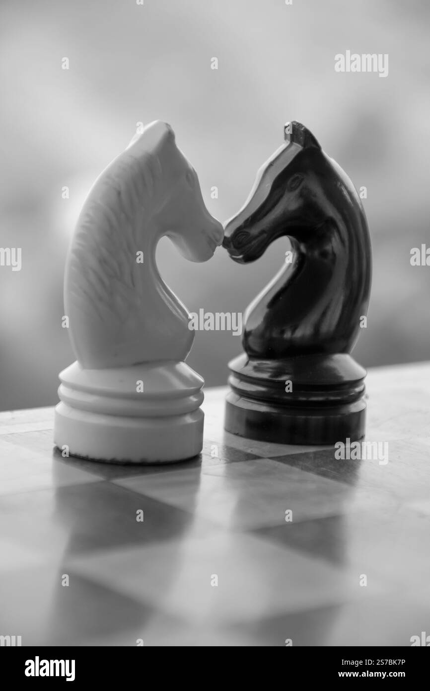Chessboard. Chess game. Chess pieces - King, Queen, Queen, Rook, Bishop ...