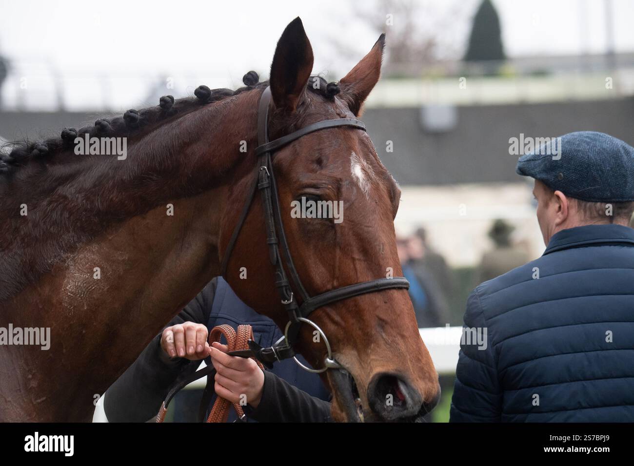 Ascot, Berkshire, UK. 18th January, 2025. IN D’OR ridden by Mr David ...