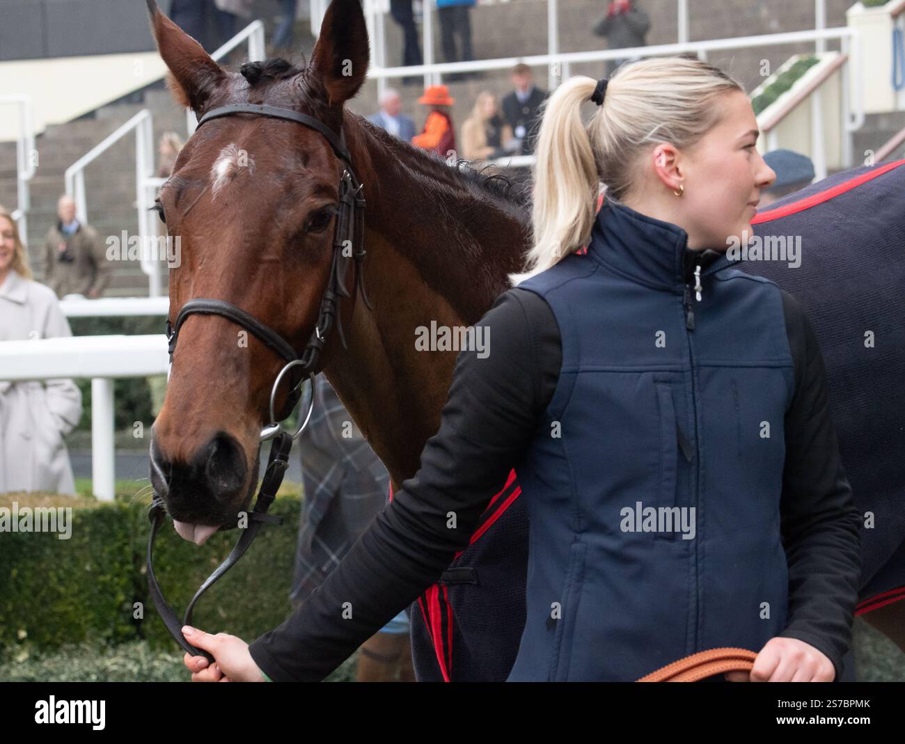 Ascot, Berkshire, UK. 18th January, 2025. IN D’OR ridden by Mr David ...