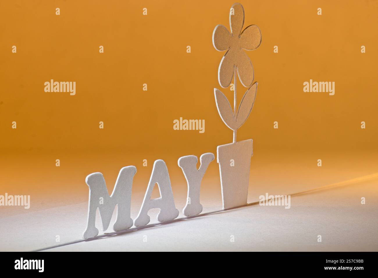 The month of May in silhouette cutout on yellow background with potted ...