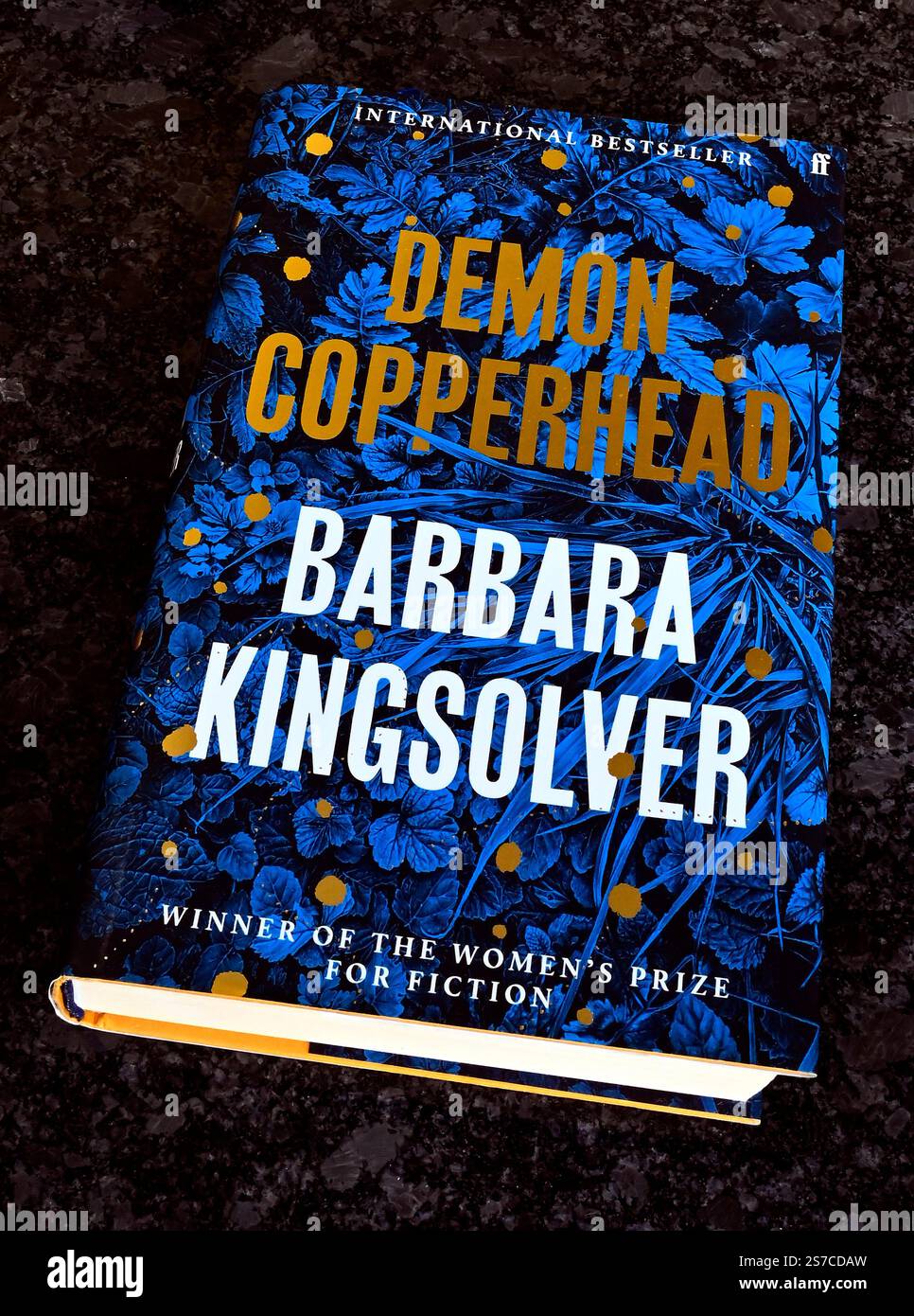 Book cover. "Demon Copperhead" by Barbara Kingsolver Stock Photo - Alamy