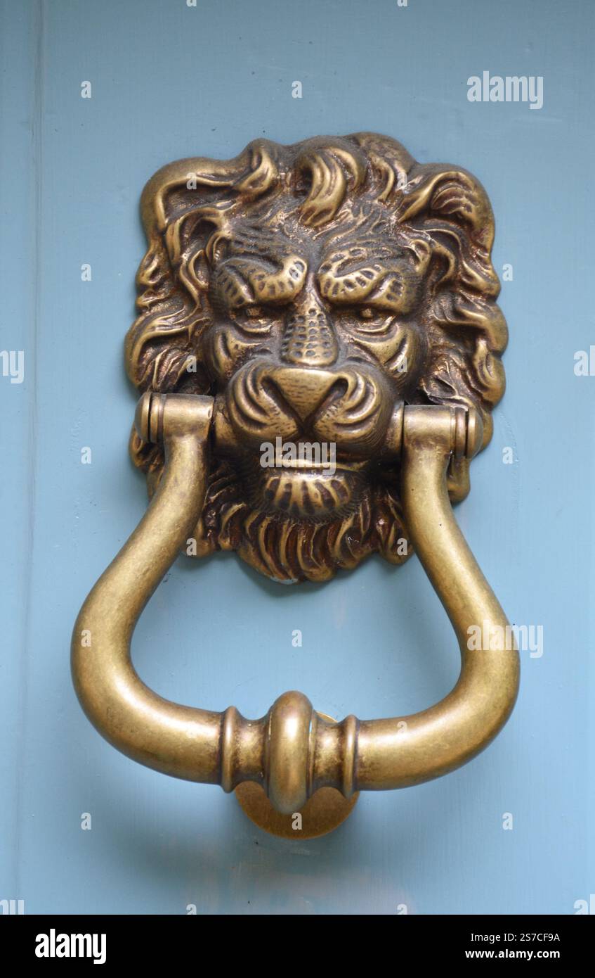 Traditional Victorian Brass Lion Head Door Knocker against a light-blue ...