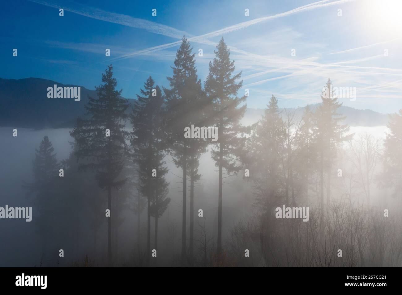 Cloud Inversion in the Black Forest Stock Photo - Alamy