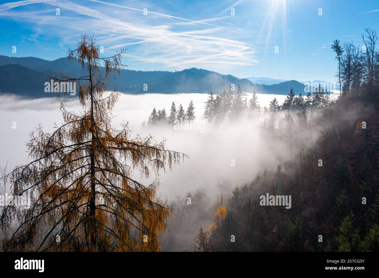 Cloud Inversion in the Black Forest Stock Photo - Alamy