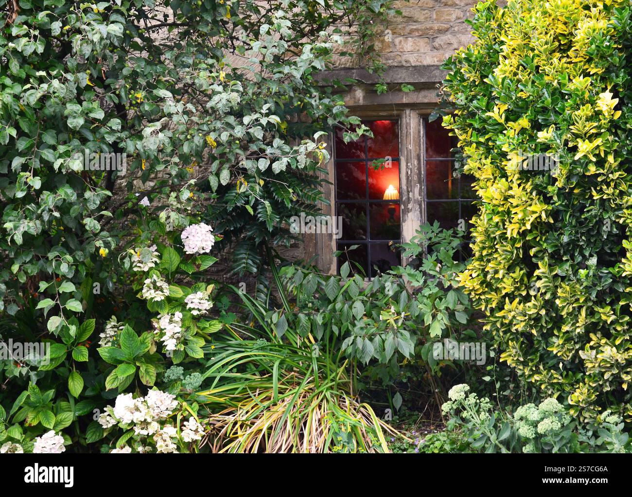 Cracked wooden window covered in foliage on a facade of an old stone ...