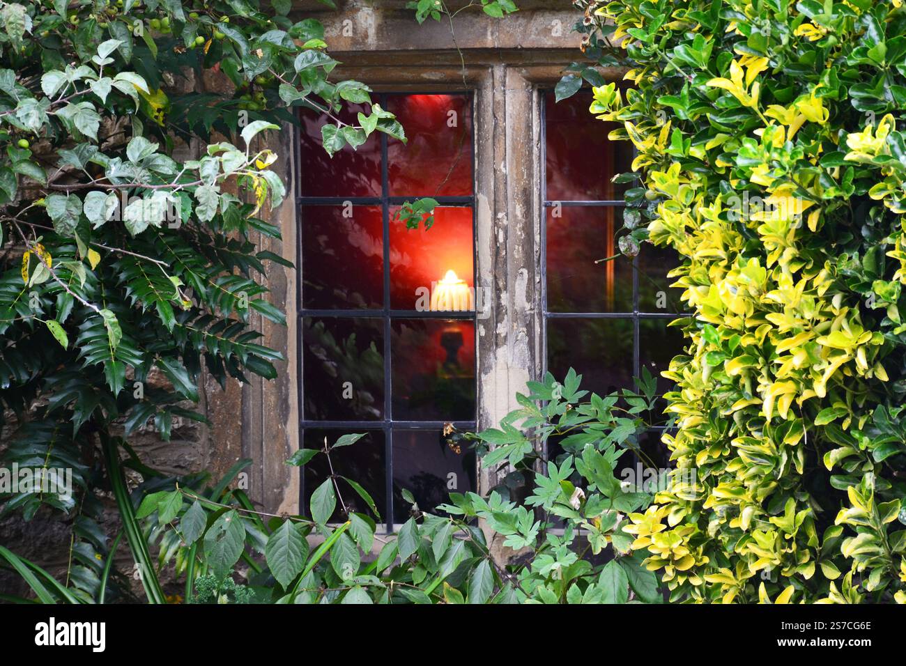 Cracked wooden window covered in foliage on a facade of an old stone ...