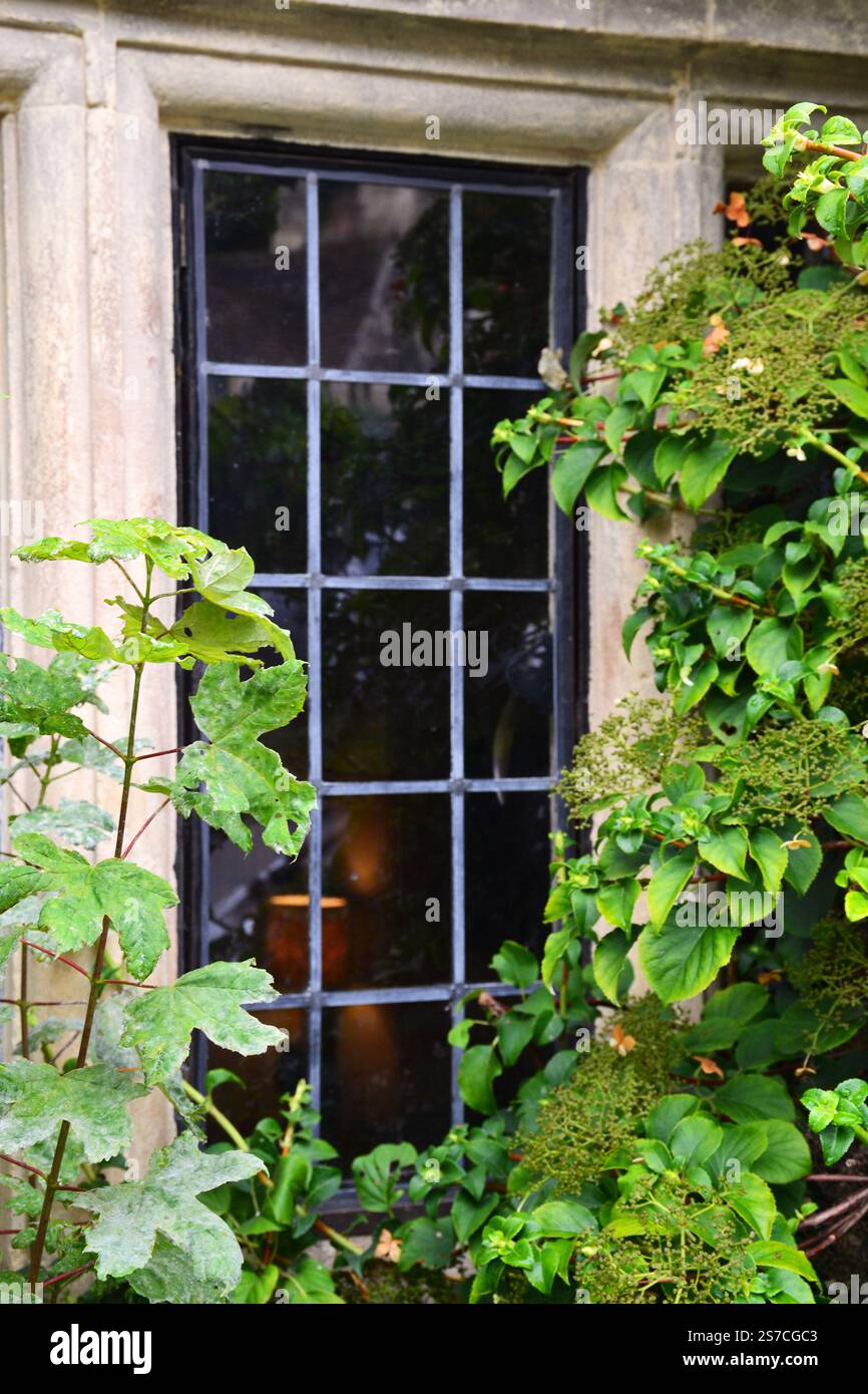 Close up picture of an old traditional wooden window of a rural cottage ...