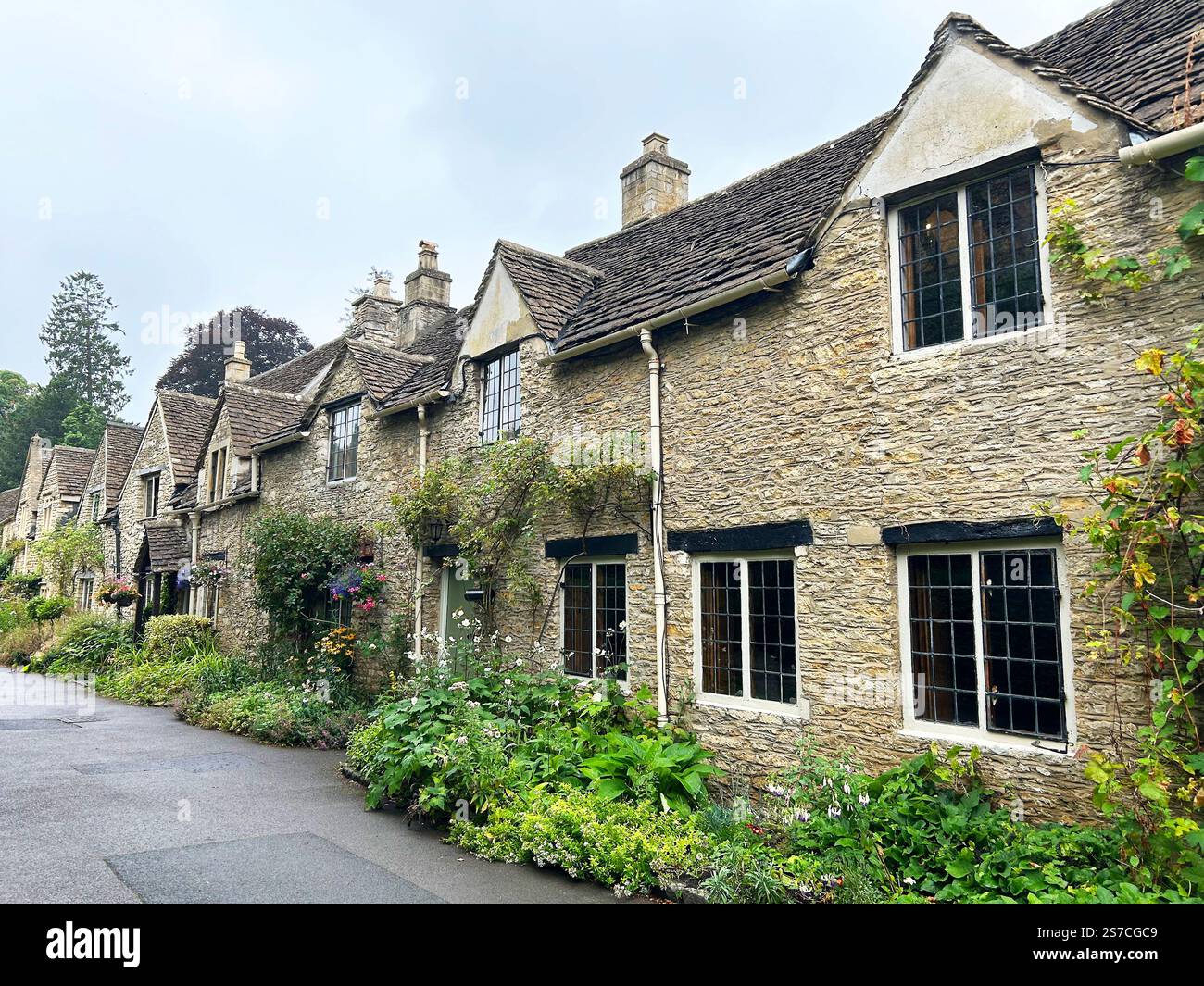 Traditional stone houses decorated with plants in picturesque Castle ...