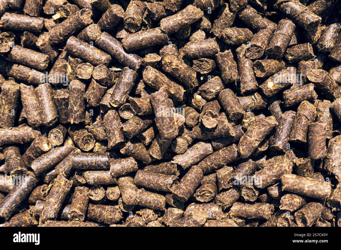 Wood pellet cat litter, background and texture, top view. background ...