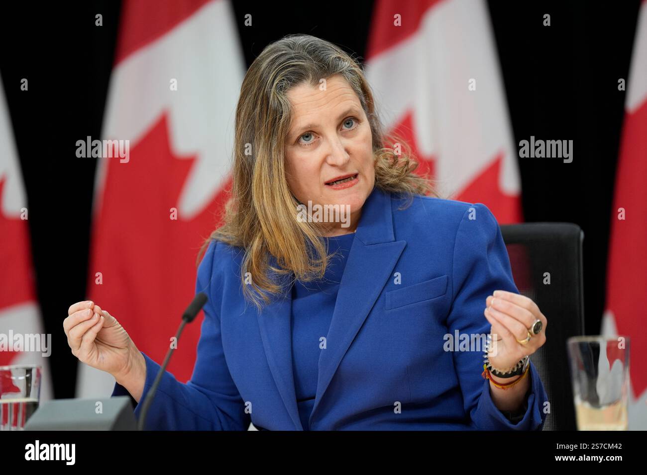 Former deputy prime minister and finance minister Chrystia Freeland ...
