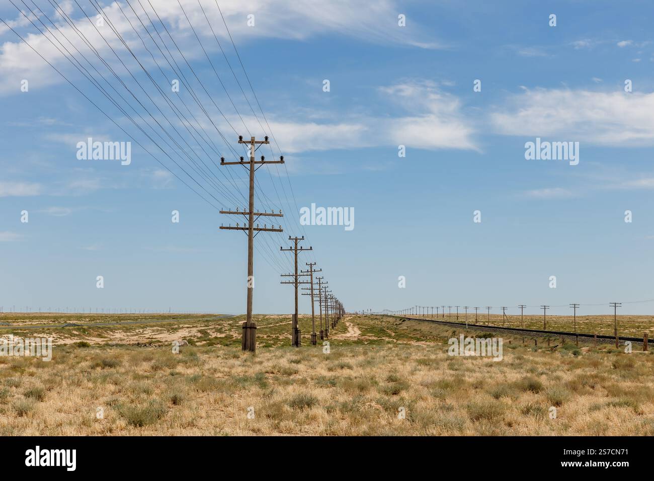 Utility poles carrying electric and communication lines stretch ...