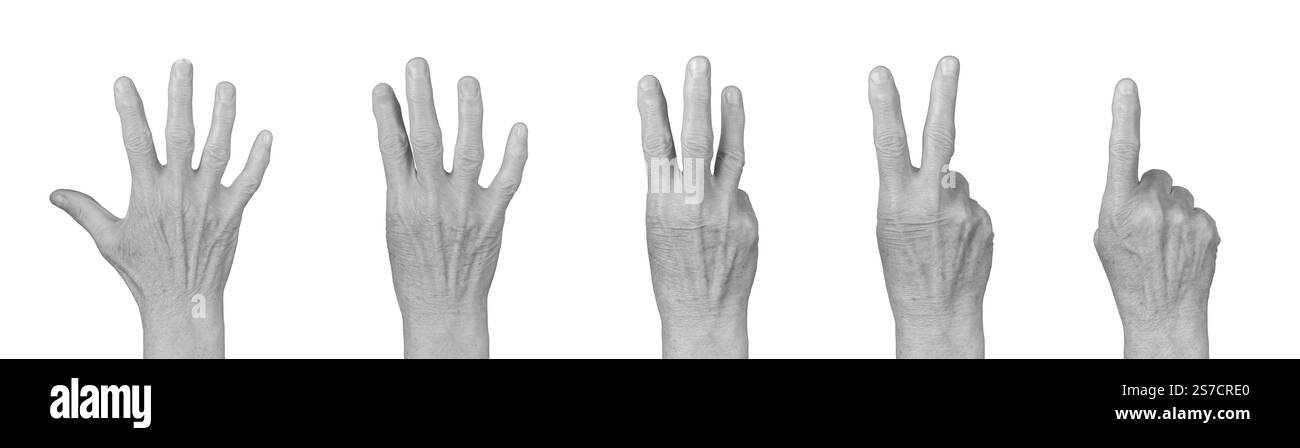 Elderly hand showing counting gestures, numbers 1 to 5, fingers up, wrinkled skin, gray tones ...
