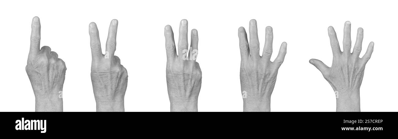 Elderly hand showing counting gestures from 1 to 5, dorsal view with ...