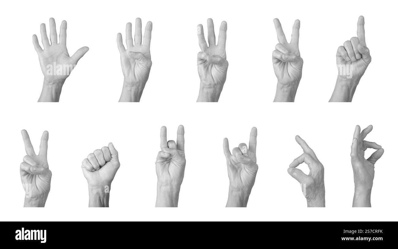 Horn skin Black and White Stock Photos & Images - Alamy