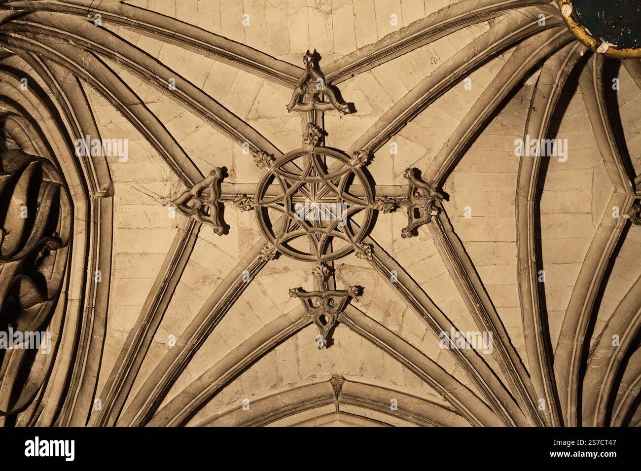 Admire the stunning gothic ceiling of Sainte-Secile Cathedral ...