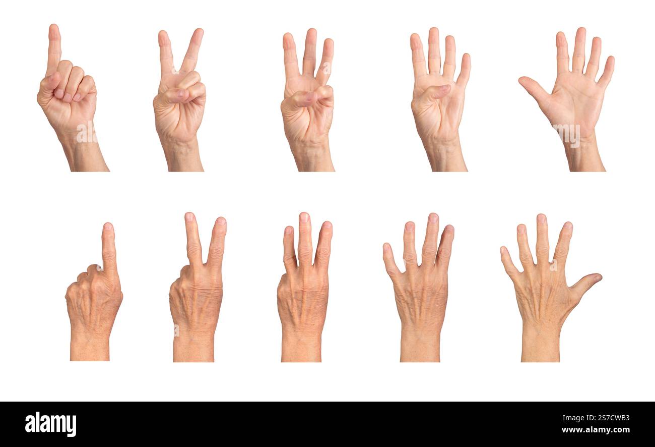 Elderly caucasian hand counting numbers 1 to 5, fingers extended with palmar and dorsal views ...
