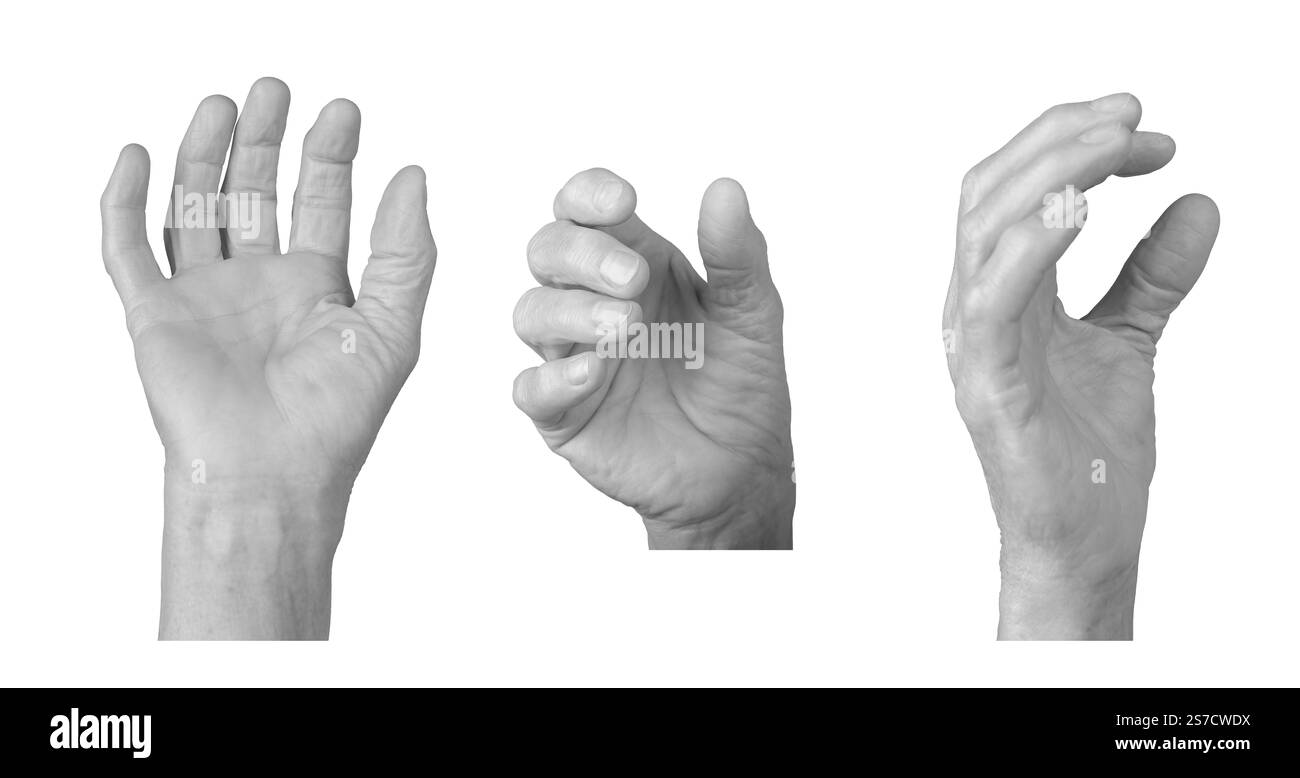 Hand palm curled Cut Out Stock Images & Pictures - Alamy