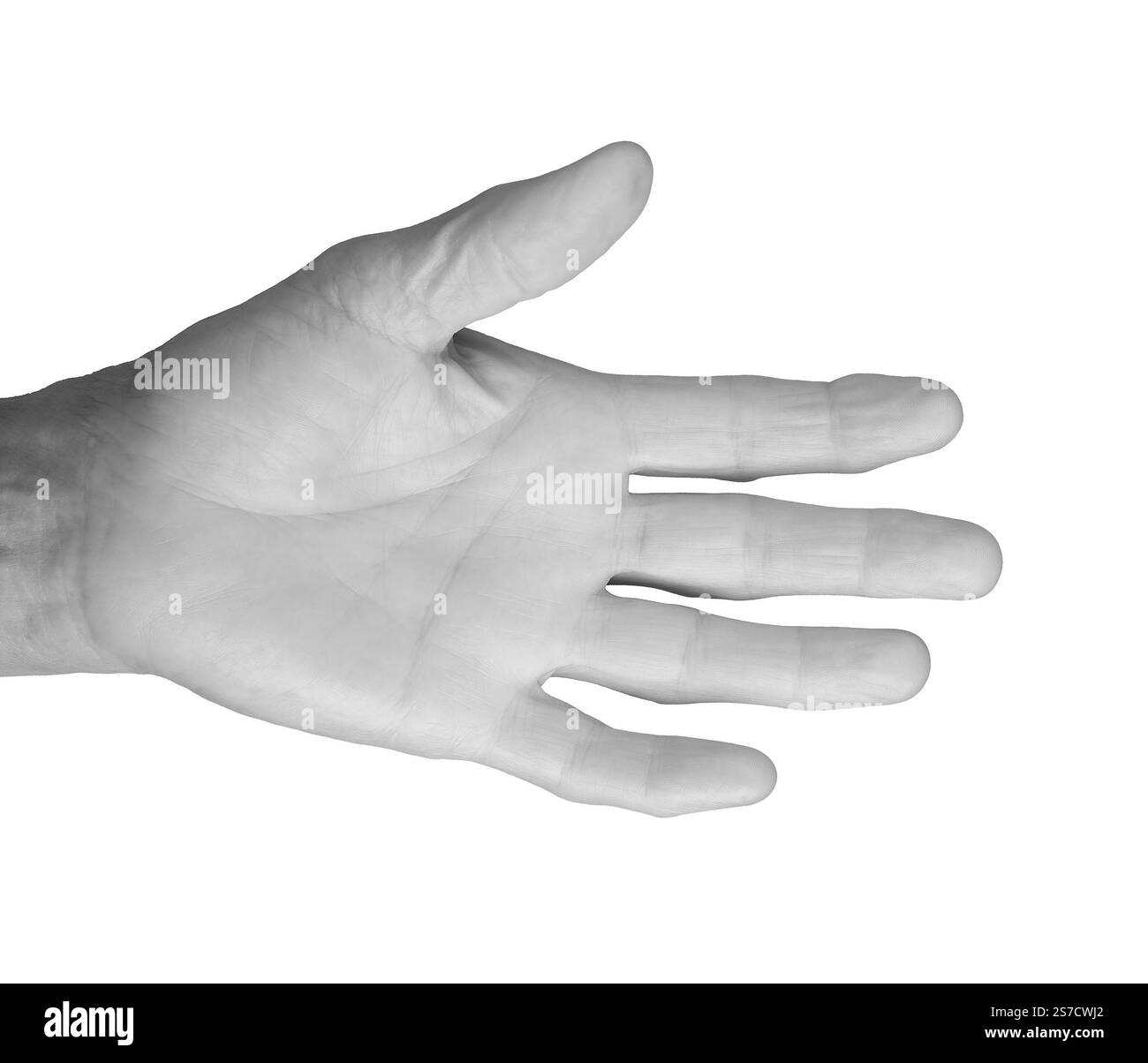 Closeup of elderly woman's hands showing both back and front views ...