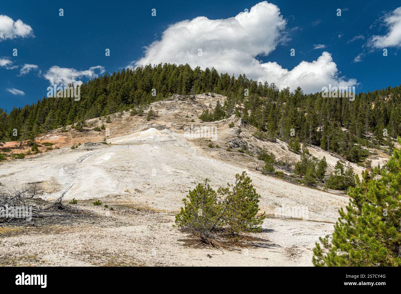 Geothermal area in the Grand Canyon of the Yellowstone along the Seven ...
