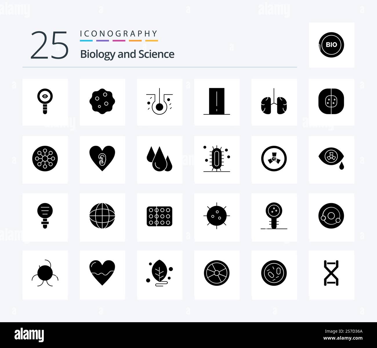 Biology 25 Solid Glyph icon pack including anatomy. gadget. zoom ...