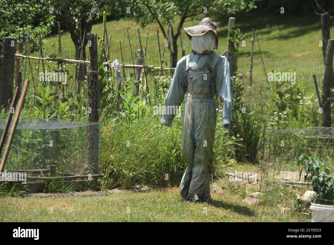 Simple traditional scarecrow in Virginia's countryside, USA Stock Photo ...