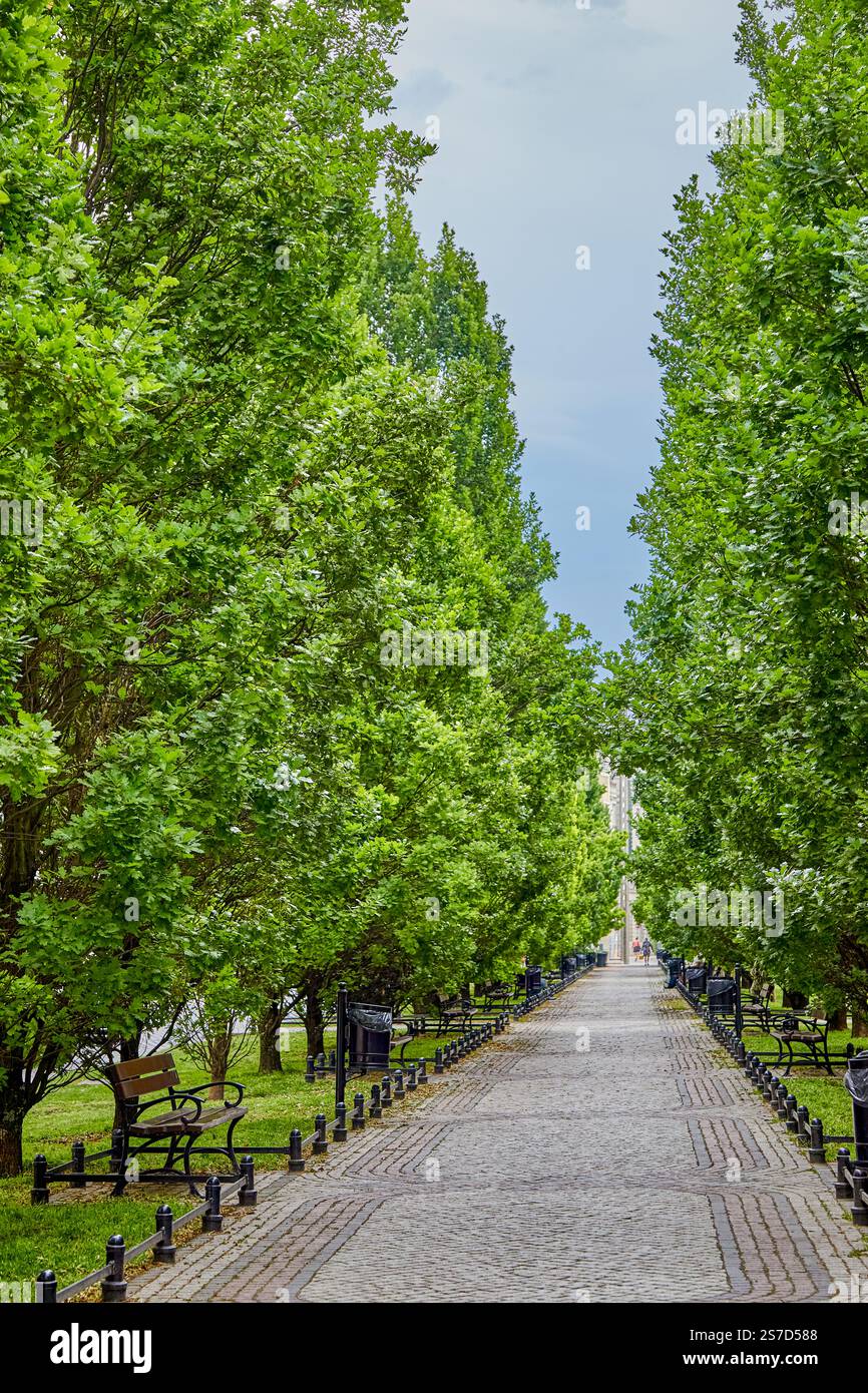 Tree lined walking path known as Marcinkowski Alley with the Stela ...