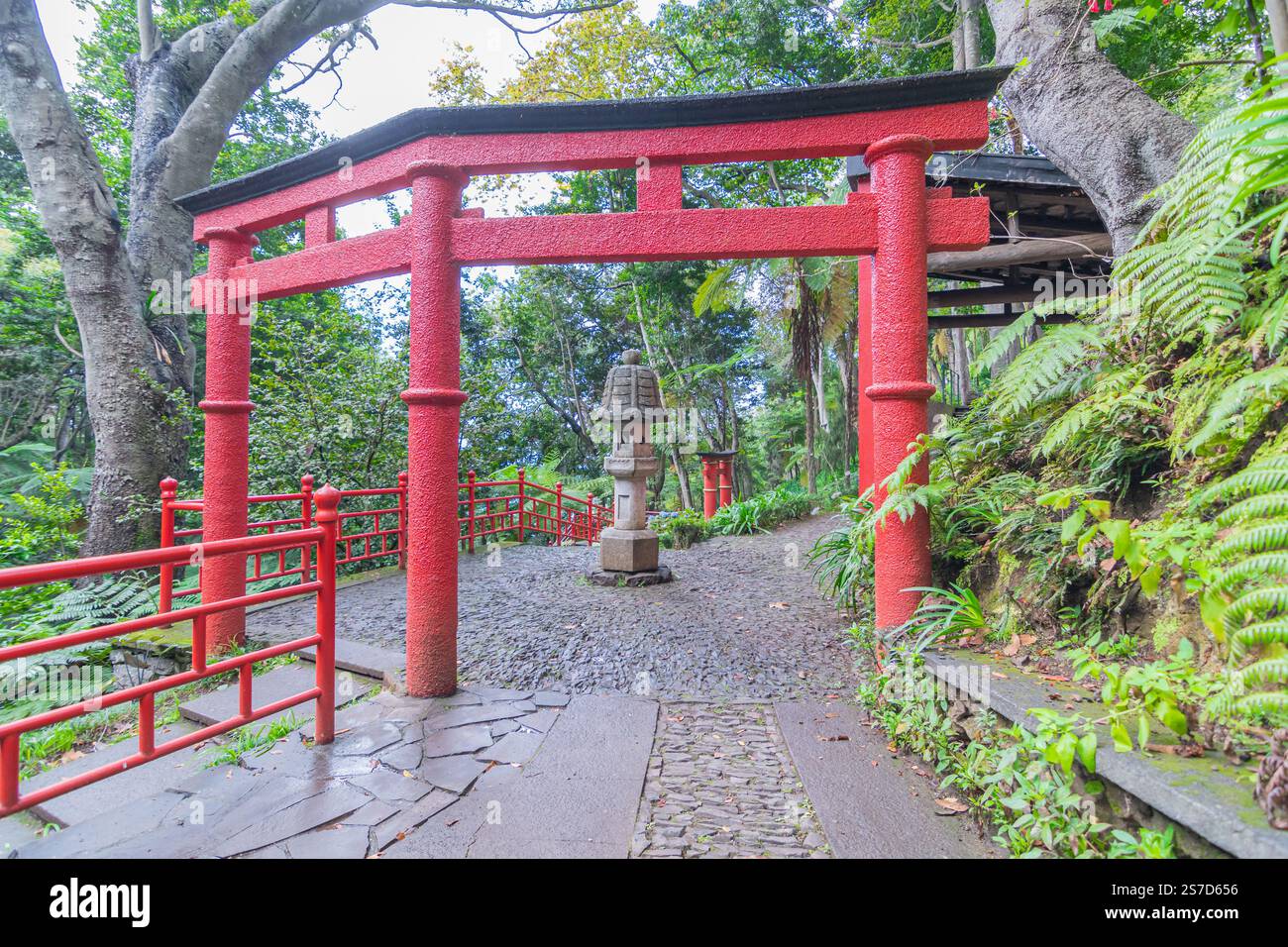 Funchal, Madeira - 29 October 2024: Tropical Garden and Asian Monte ...