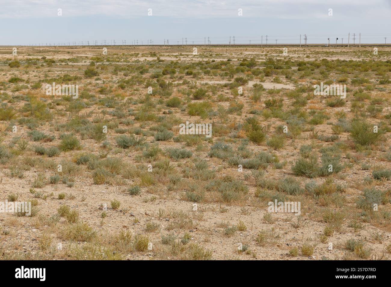 The arid terrain of Mangystau Region showcases scattered shrubbery and ...