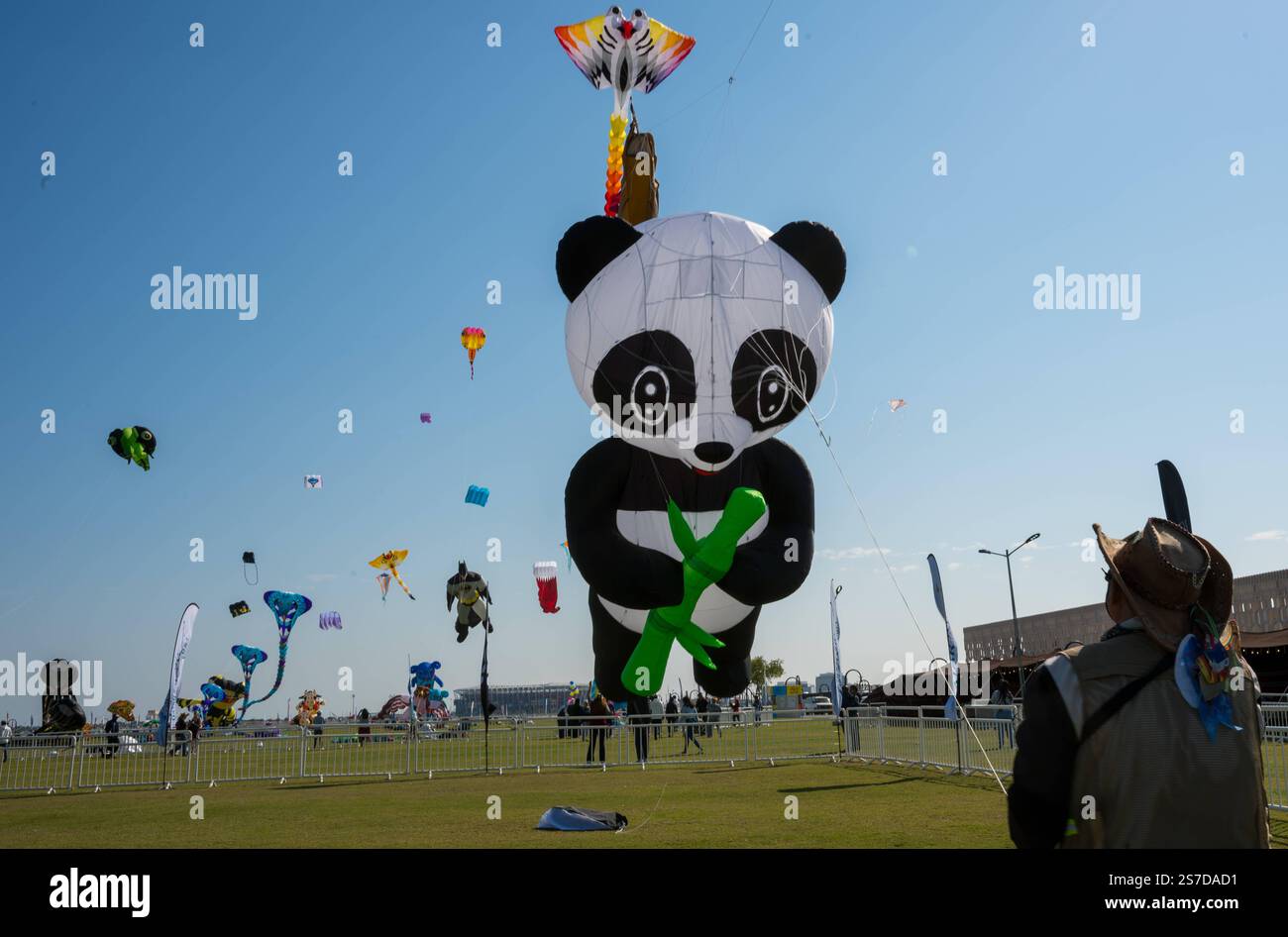 QATAR KITE FESTIVAL 2025 Participants are prepare to fly kites during ...