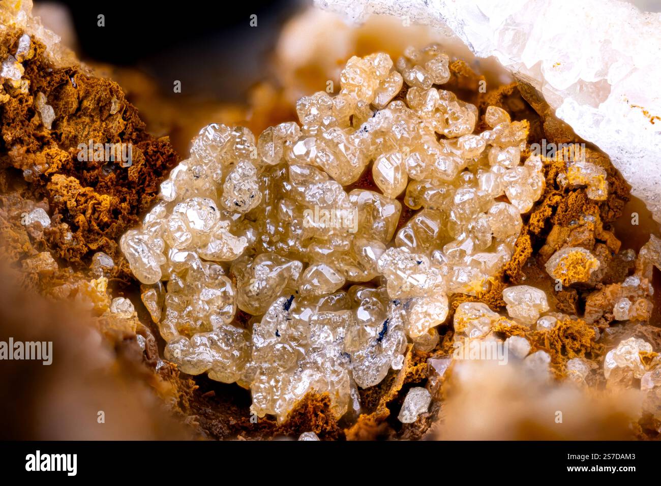 native Sulphur crystals. Specimen from clara mine, oberwolfach, Germany ...