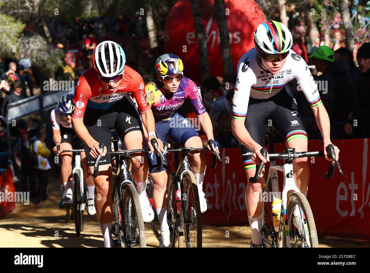 Benidorm, Spain. 19th Jan, 2025. the women's elite race at the ...