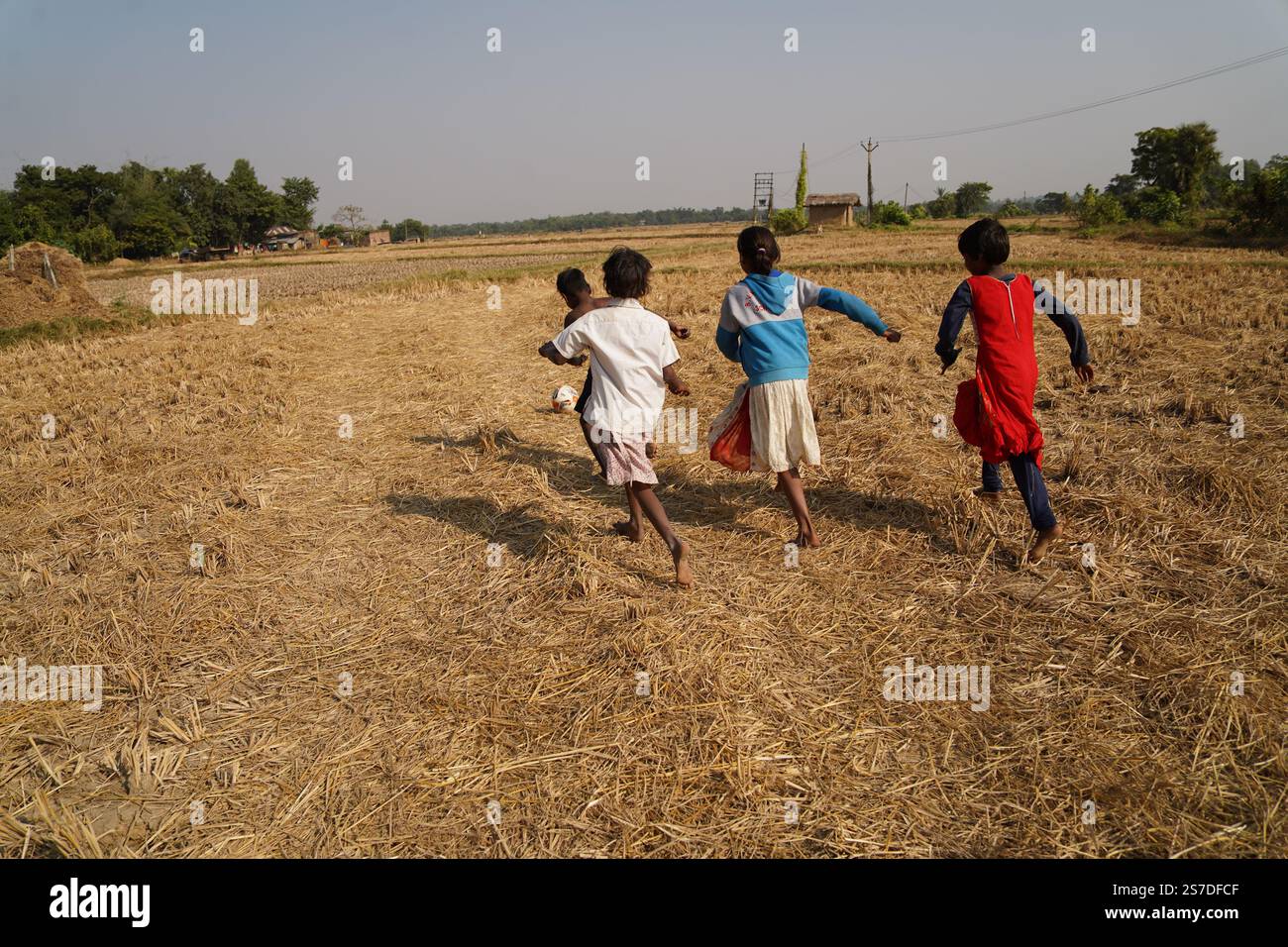 Children playing football on dried paddy fields in a Santal village of ...